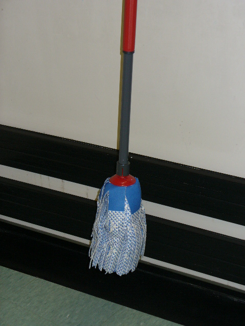 Long adjustable telescopic handle mop.